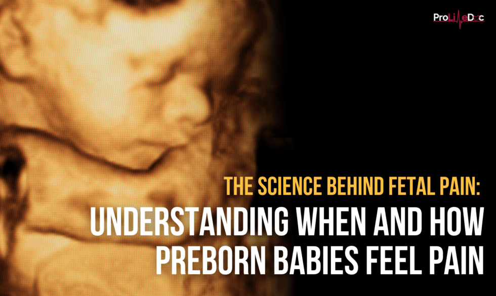 The Science Behind Fetal Pain: Understanding When and How Preborn ...