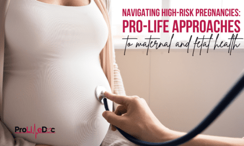 Navigating High-Risk Pregnancies: Pro-Life Approaches to Maternal and ...